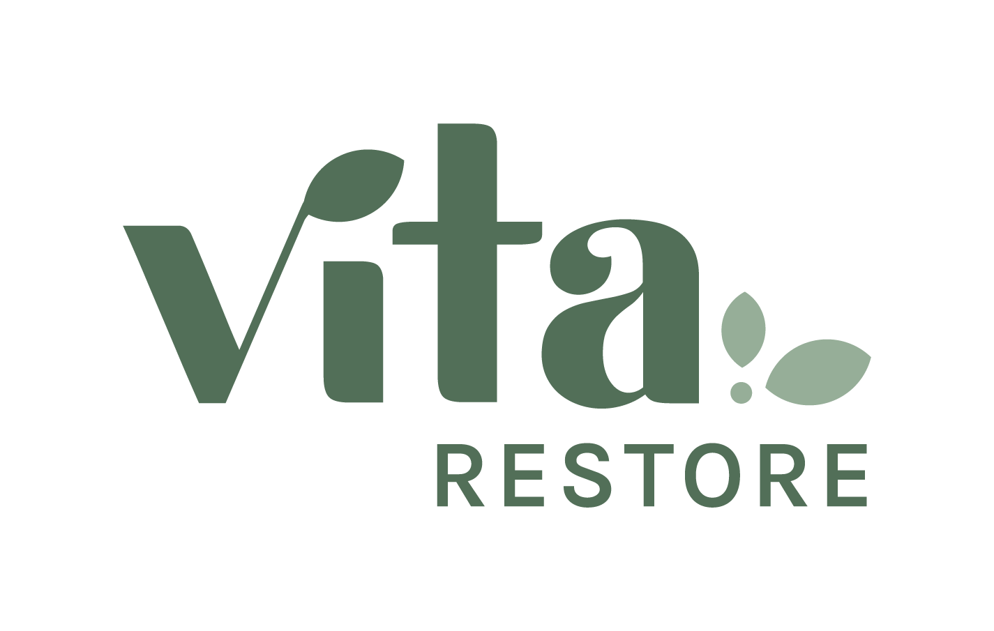 VitaRestore